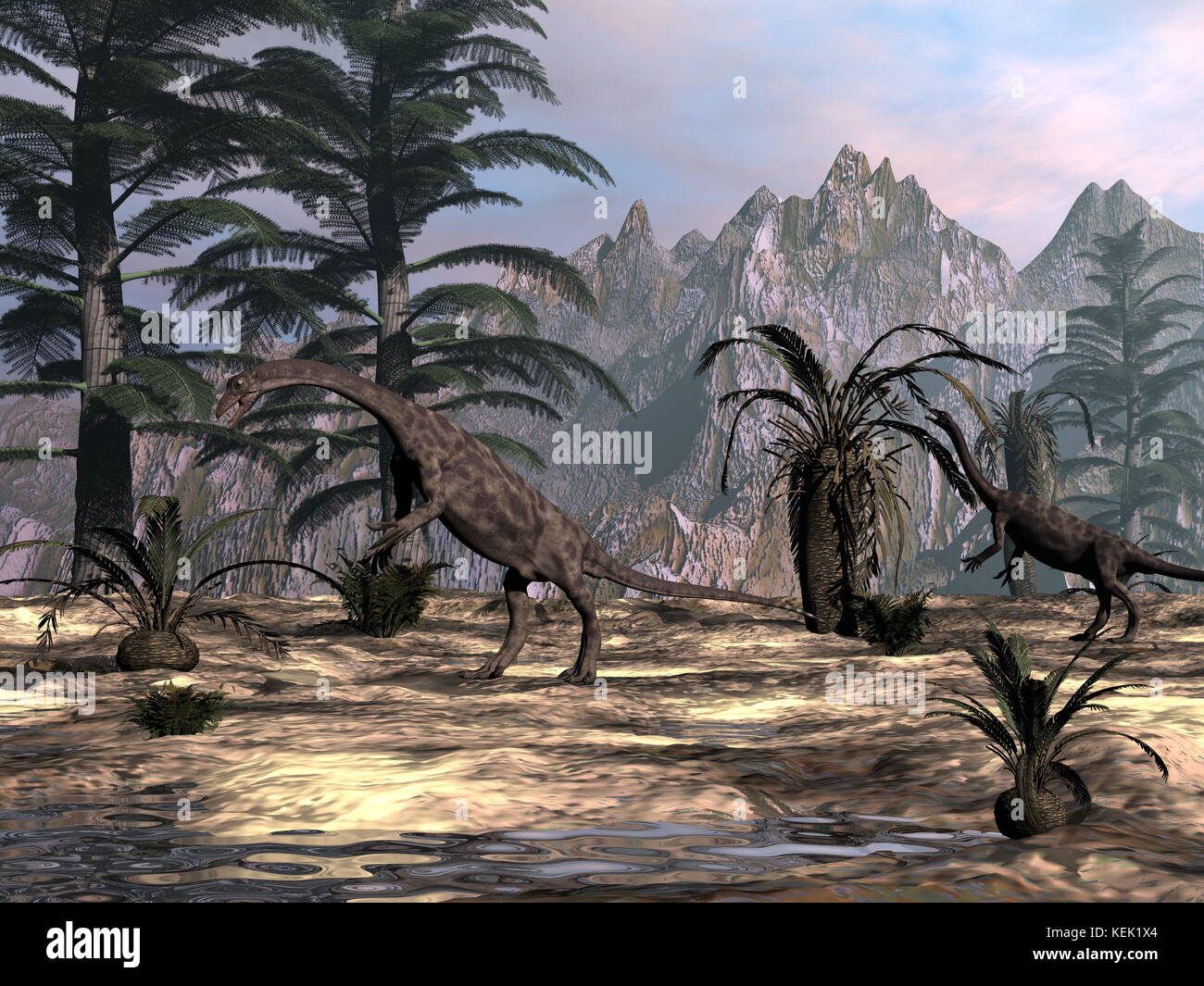 Two anchisaurus dinosaurs eating in the desert with cycads and tree ...