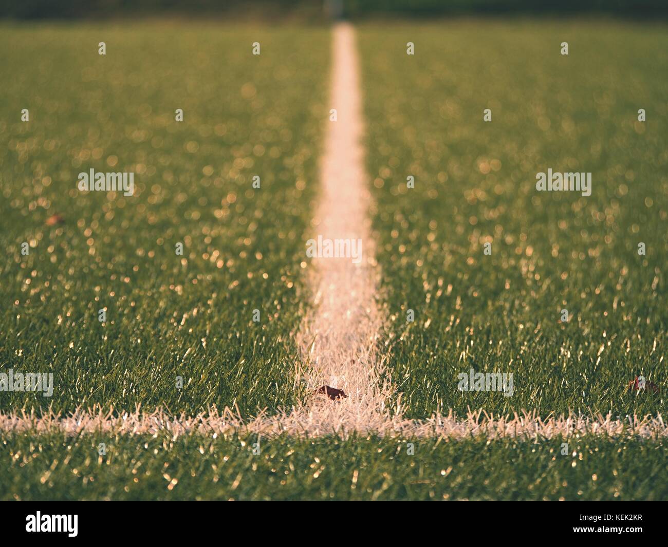 White line marks painted on artificial green turf background. Playfield ...