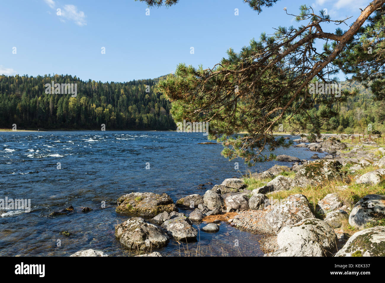 Small hidden waterfall in the forest in the cleft of the rock Stock ...