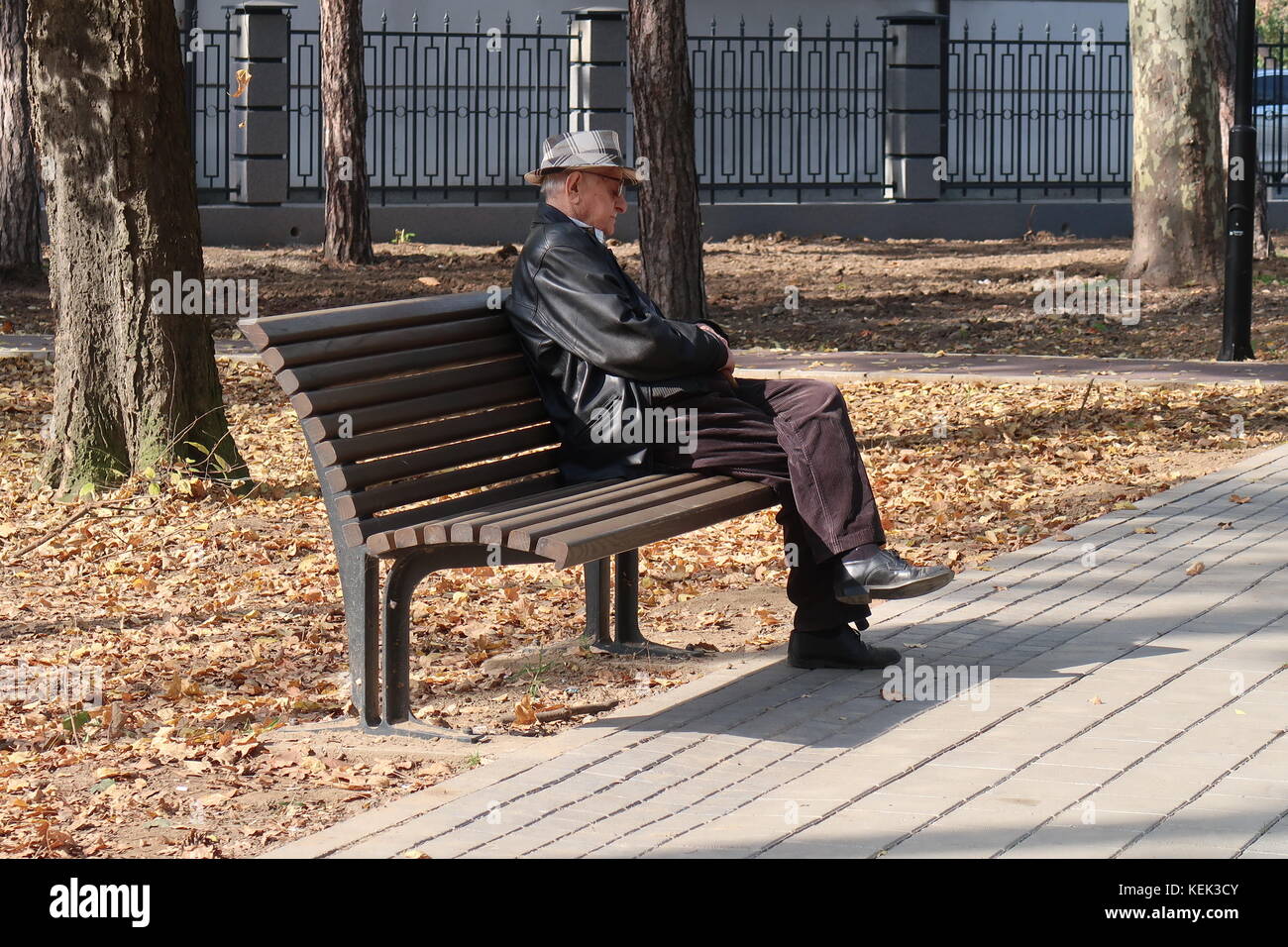 Old Man Sitting On A Park Bench Old Man Enjoys Sitting On A Bench In