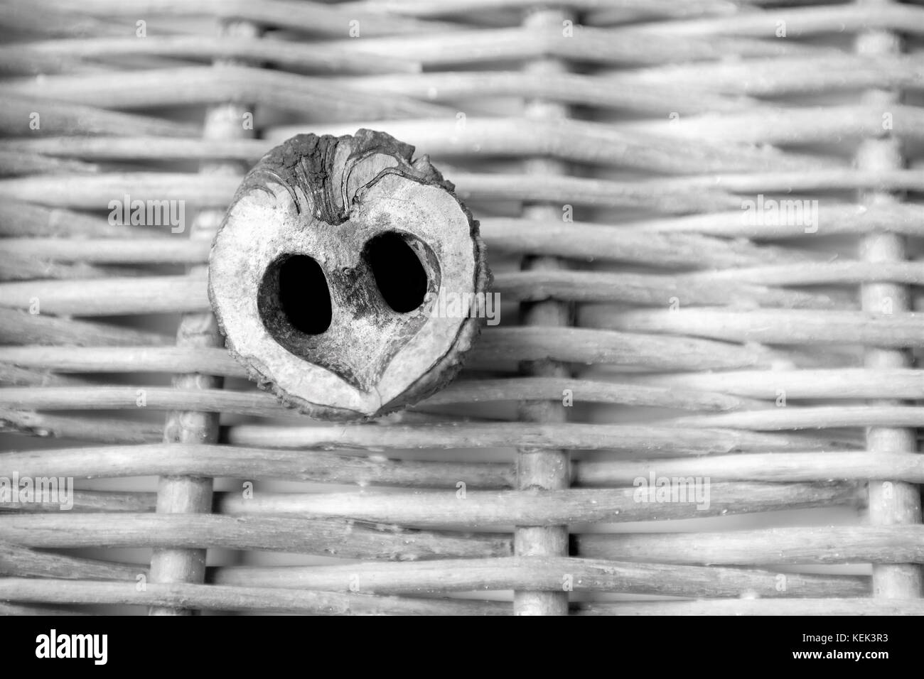 Text love autumn in Black and White Stock Photos & Images - Alamy