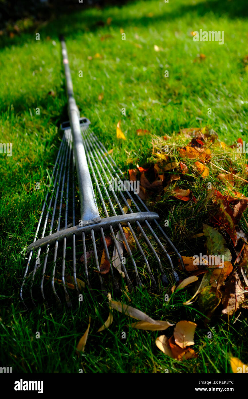 Garden rake and leaves in the Autumn Stock Photo - Alamy