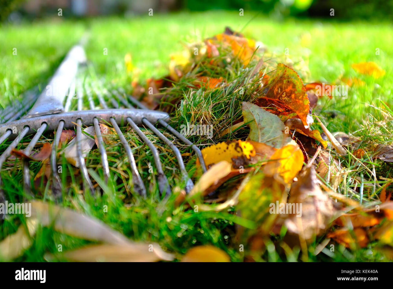 Lawn rakes hi-res stock photography and images - Alamy
