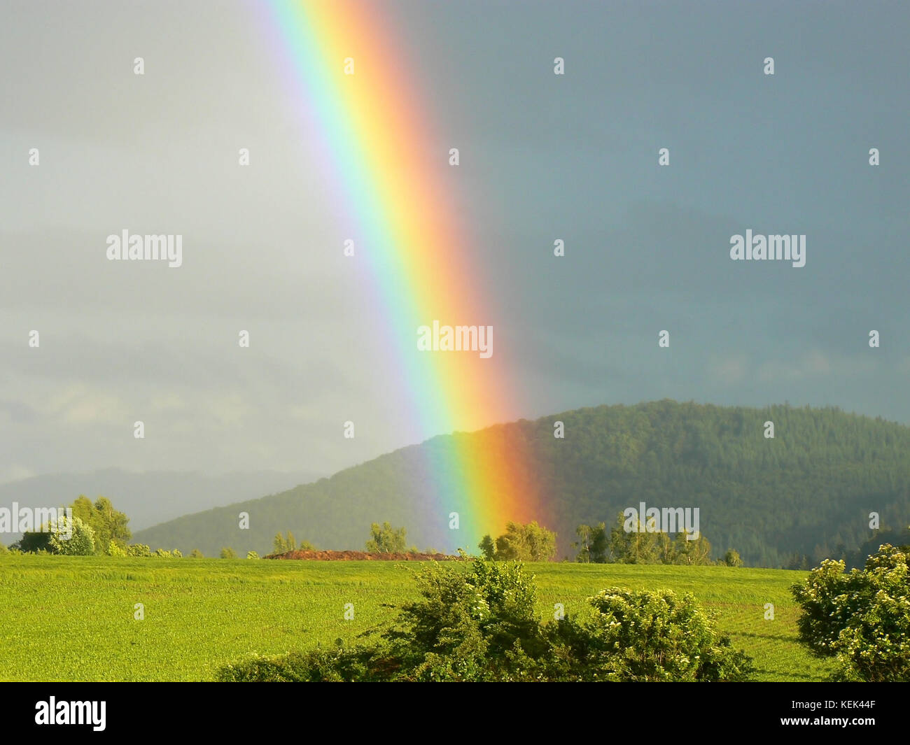 Rainbow view on a meadow with trees and a hill under a summer blue sky ...