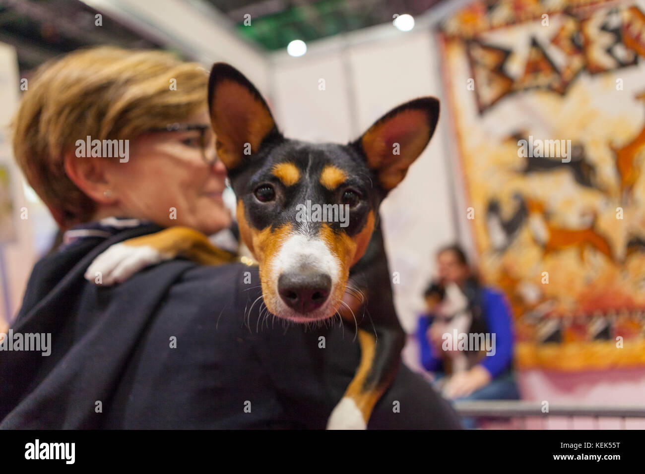 London, UK. 21st Oct, 2017. Discover Dogs Show: ExCel, London, UK. 21st ...