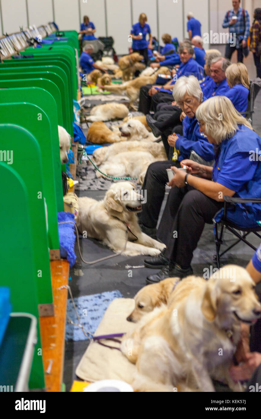 London, UK. 21st Oct, 2017. Discover Dogs Show: ExCel, London, UK. 21st ...