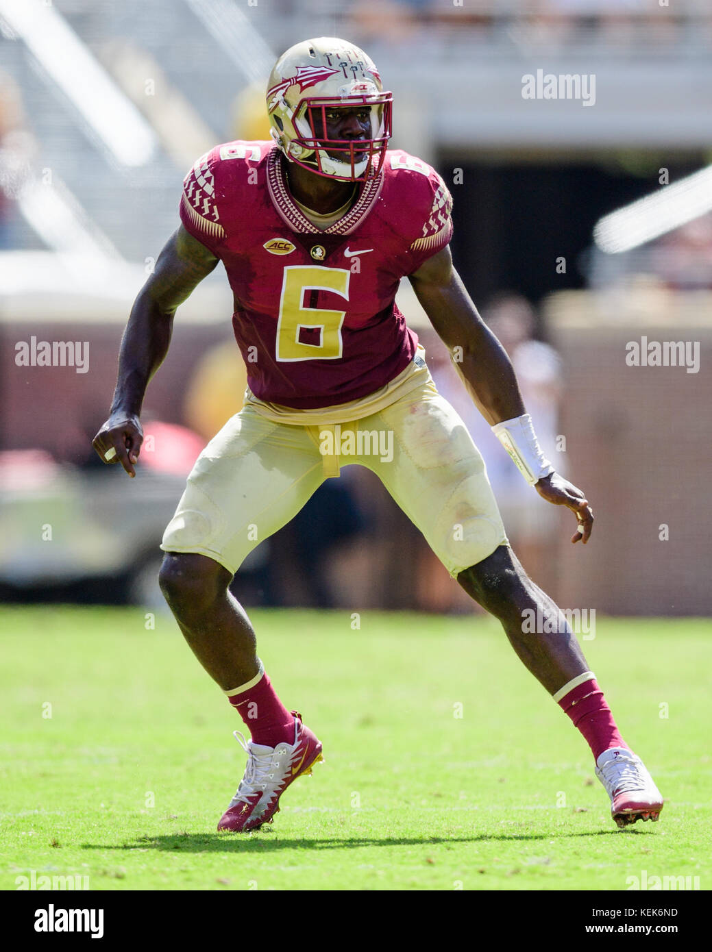 Matthew Thomas Fsu