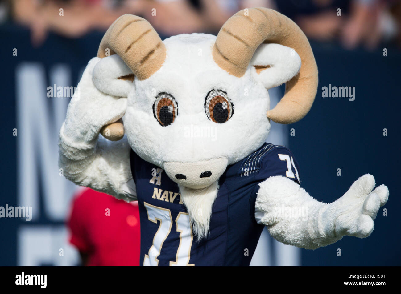 Annapolis, Maryland, USA. 21st Oct, 2017. The Navy mascot, Bill the ...