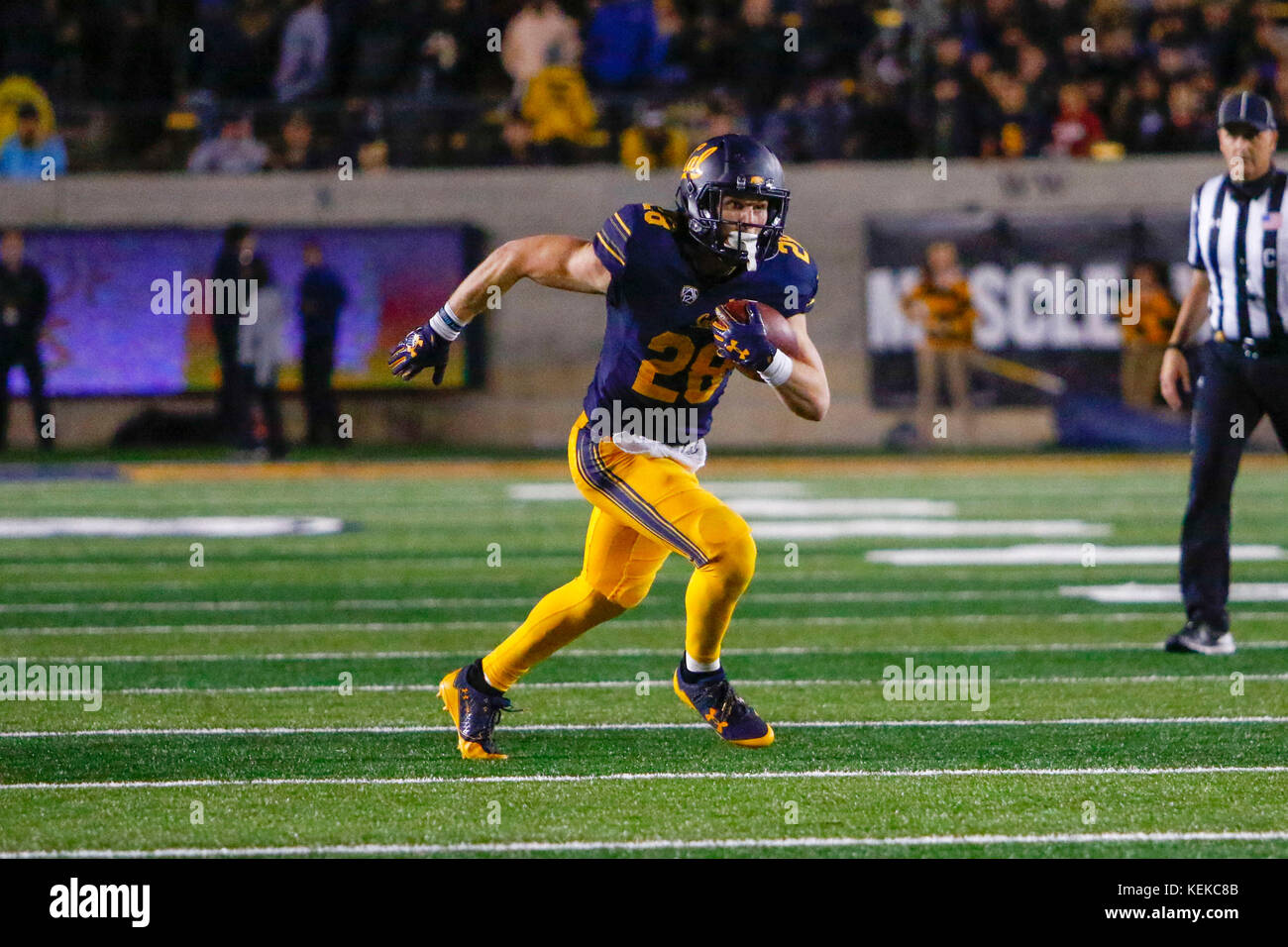Golden bears football field hi-res stock photography and images - Alamy