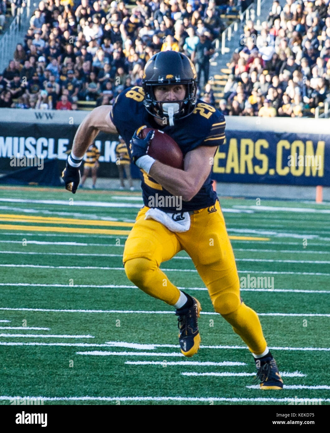 California Memorial Stadium. 21st Oct, 2017. U.S.A. California running ...
