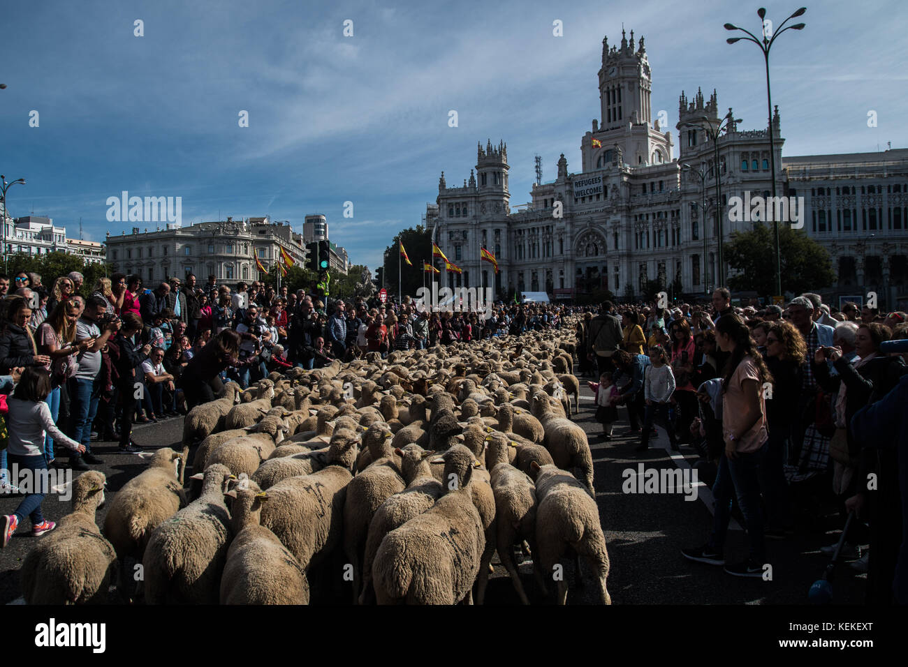 Thousand of animals hi-res stock photography and images - Alamy