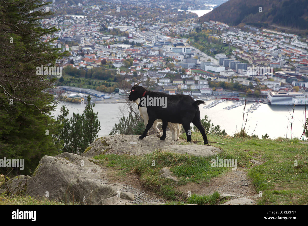 Bergen, Norway. 22nd Oct, 2017. Autumn sunshine across Bergen in Norway ...