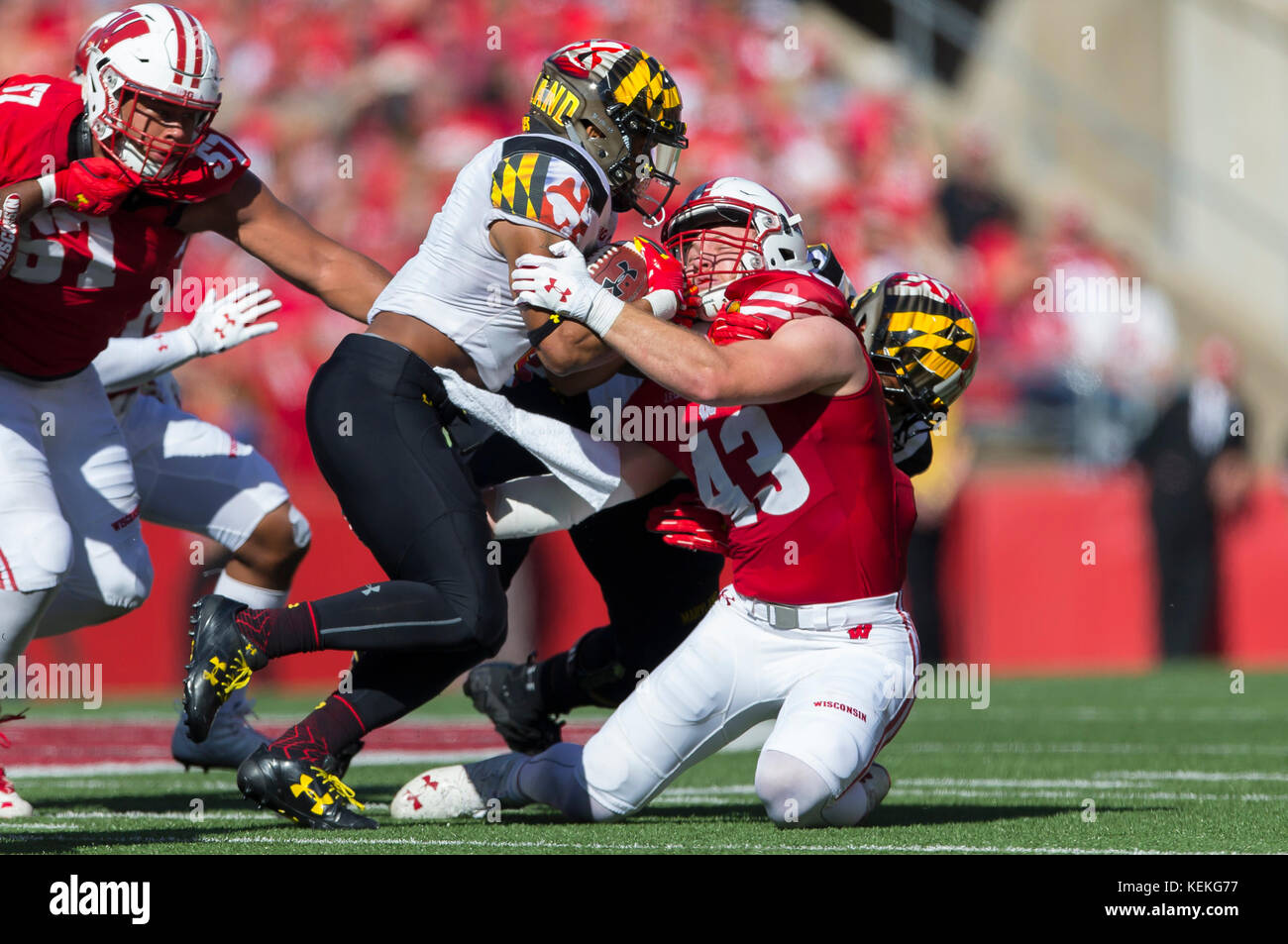 Ryan connelly hi-res stock photography and images - Alamy