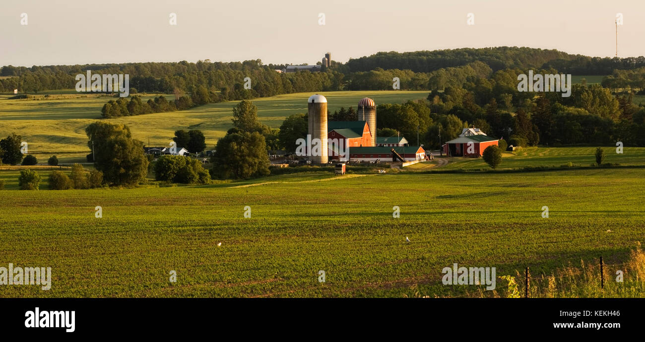 , Canada, Ontario, Agricultural, landscape, sunrise Stock Photo - Alamy
