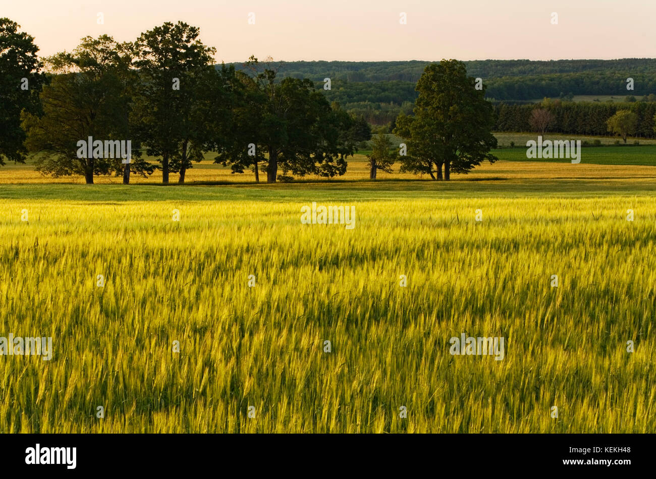 Ontario economy hi-res stock photography and images - Alamy