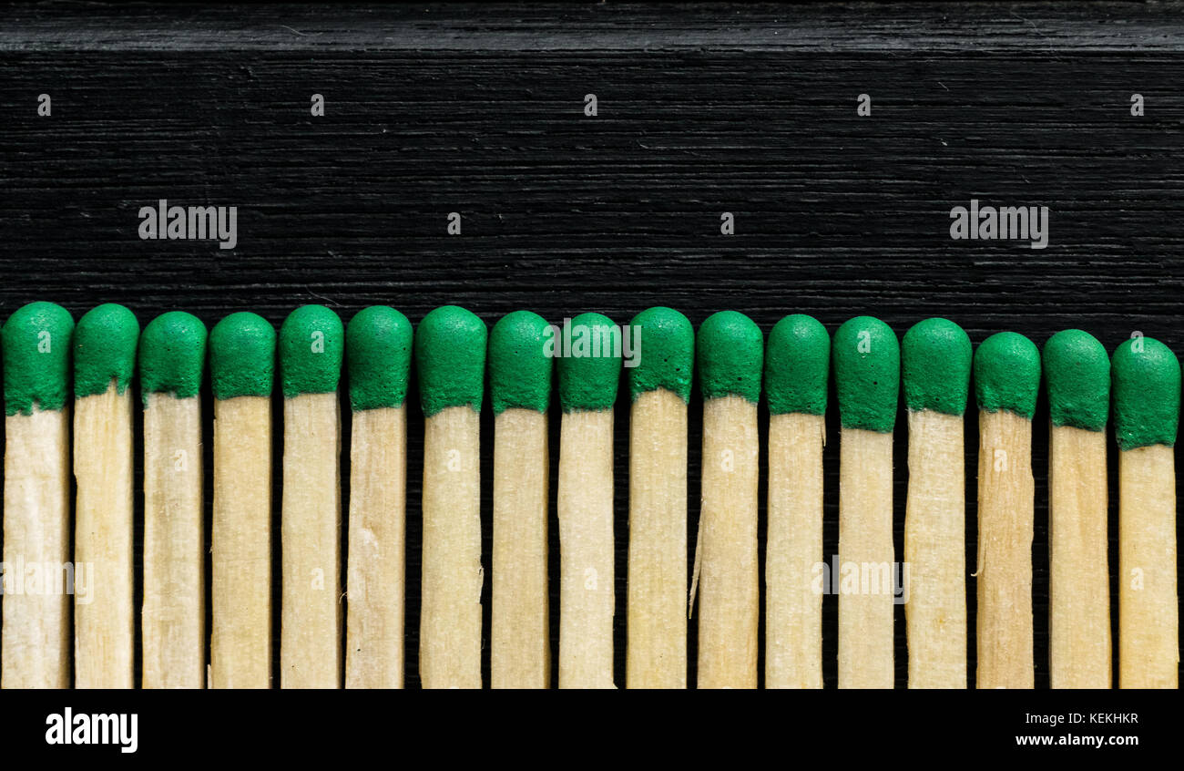 Many green tip wood matches in a row, single line, with a black ...
