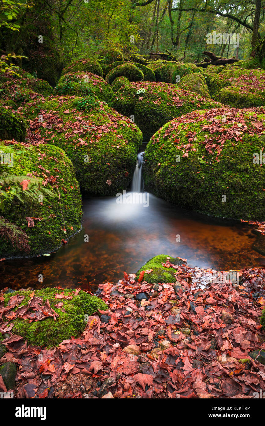 Becky Falls in fall colors, Dartmoor National Park, Devon, UK Stock ...