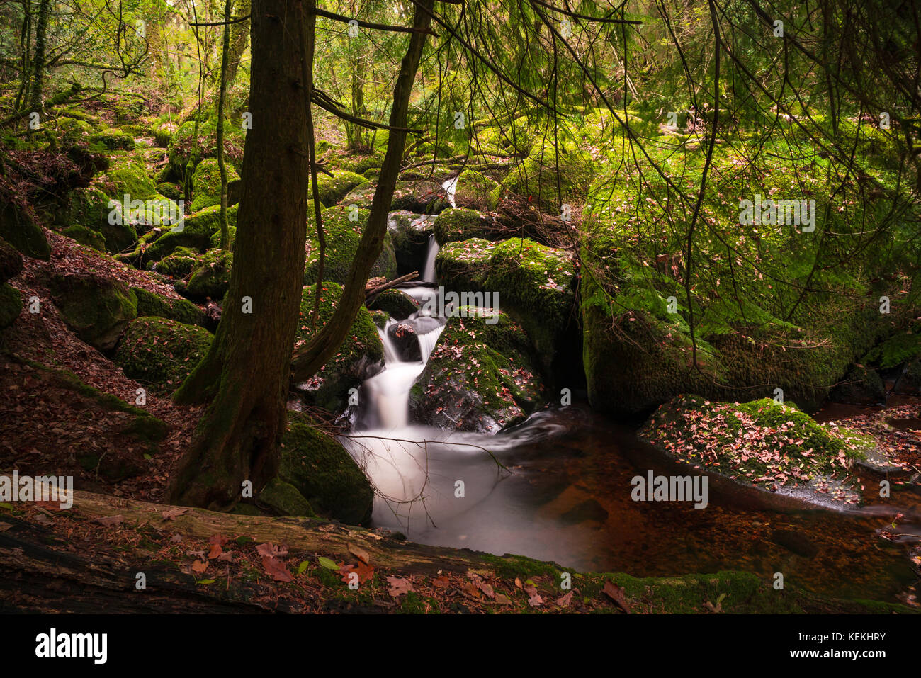Becky Falls in fall colors, Dartmoor National Park, Devon, UK Stock ...