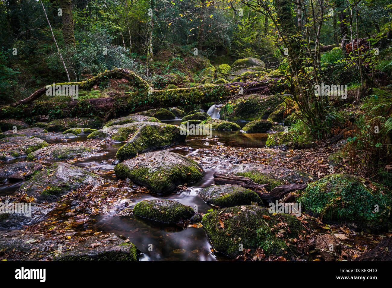 Becky Falls in fall colors, Dartmoor National Park, Devon, UK Stock ...