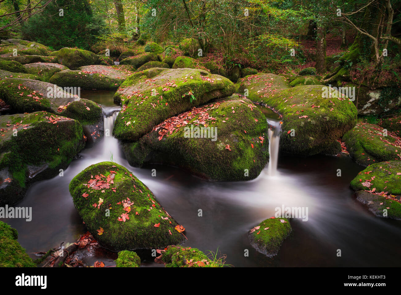 Becky Falls in fall colors, Dartmoor National Park, Devon, UK Stock ...