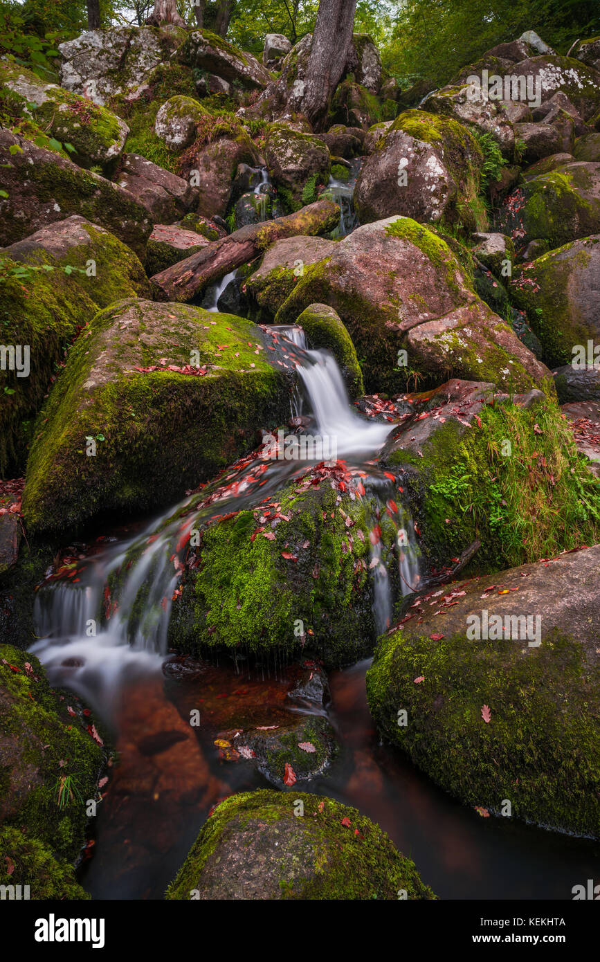Becky Falls High Resolution Stock Photography and Images - Alamy