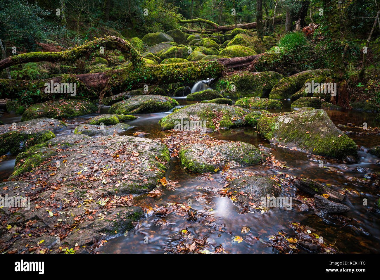Becky Falls in fall colors, Dartmoor National Park, Devon, UK Stock ...