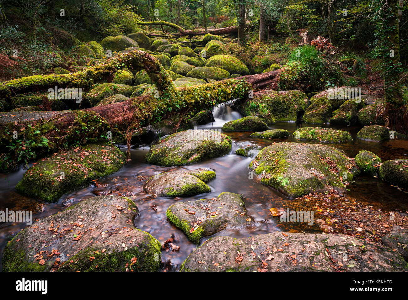 Becky Falls in fall colors, Dartmoor National Park, Devon, UK Stock ...