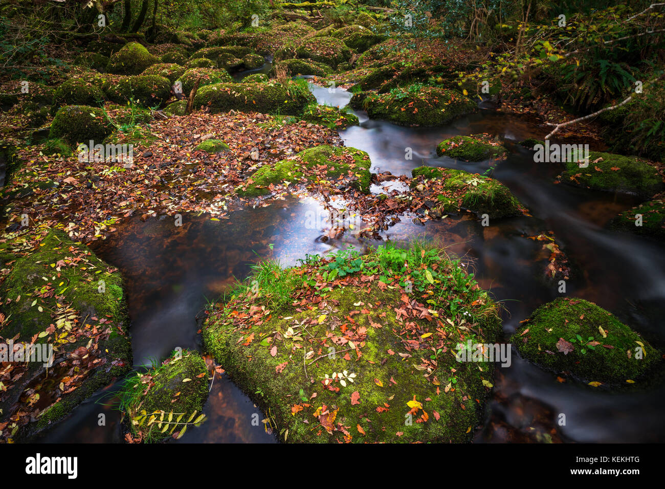 Becky Falls in fall colors, Dartmoor National Park, Devon, UK Stock ...