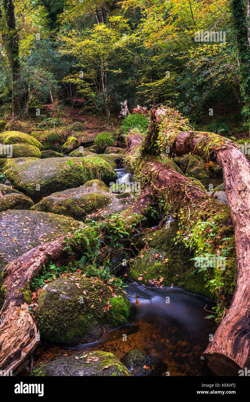 Becky Falls in fall colors, Dartmoor National Park, Devon, UK Stock ...