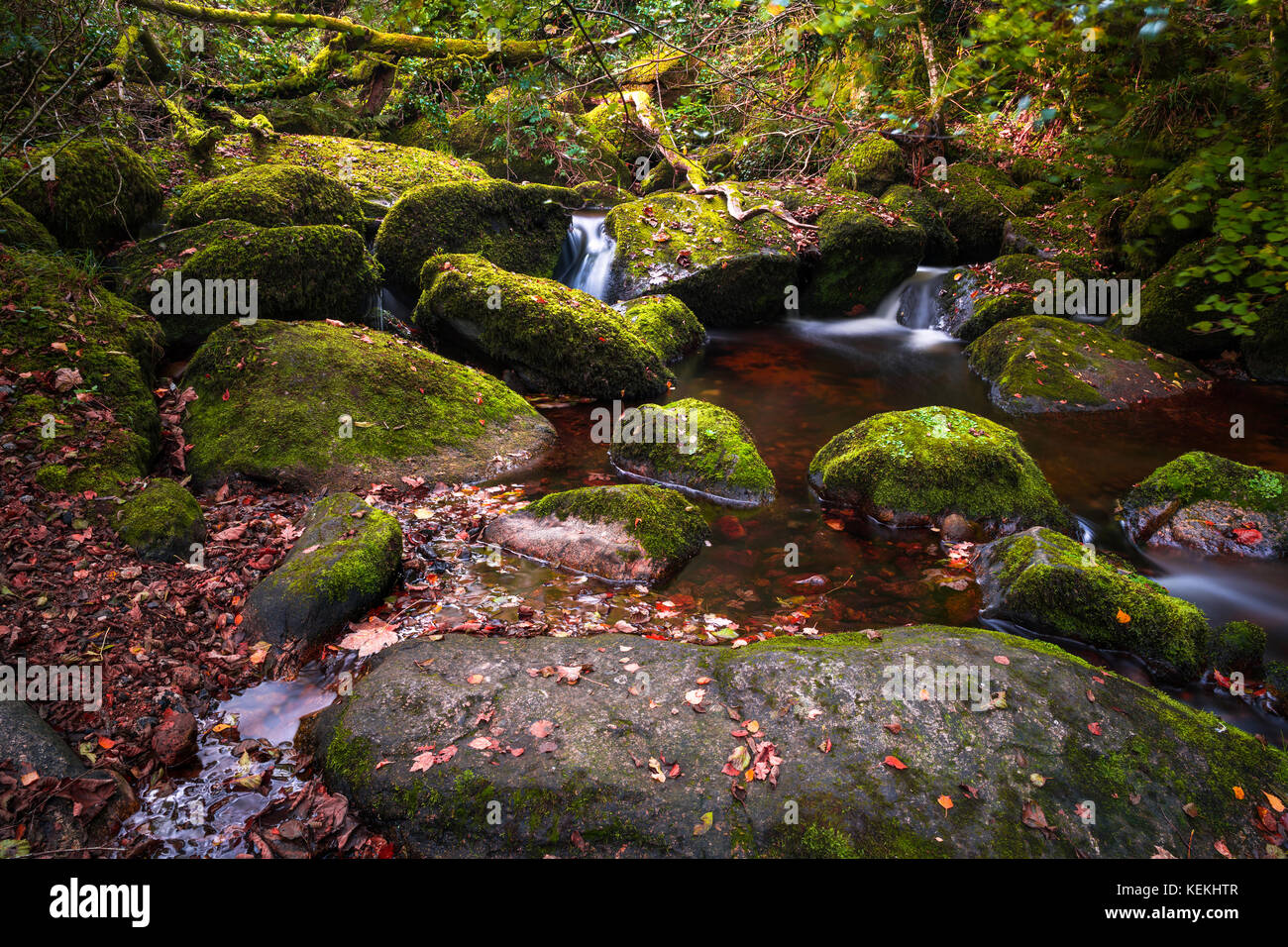 Becky Falls in fall colors, Dartmoor National Park, Devon, UK Stock ...