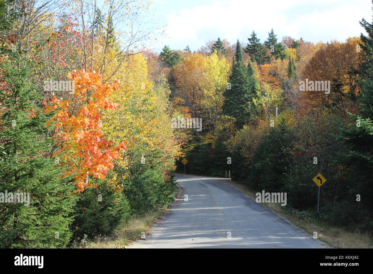 Golden autumn landscape walk on hi-res stock photography and images - Alamy