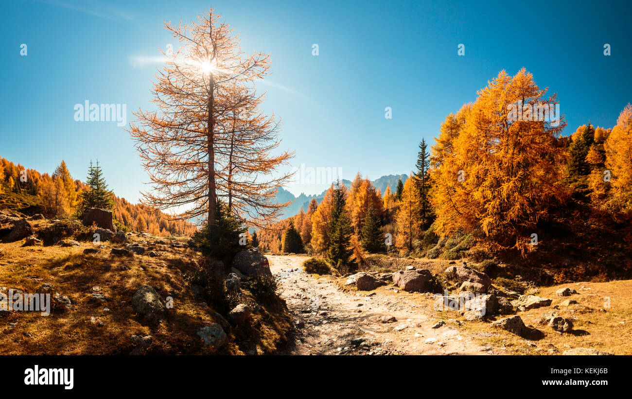 Autumn in the italian alps Stock Photo - Alamy