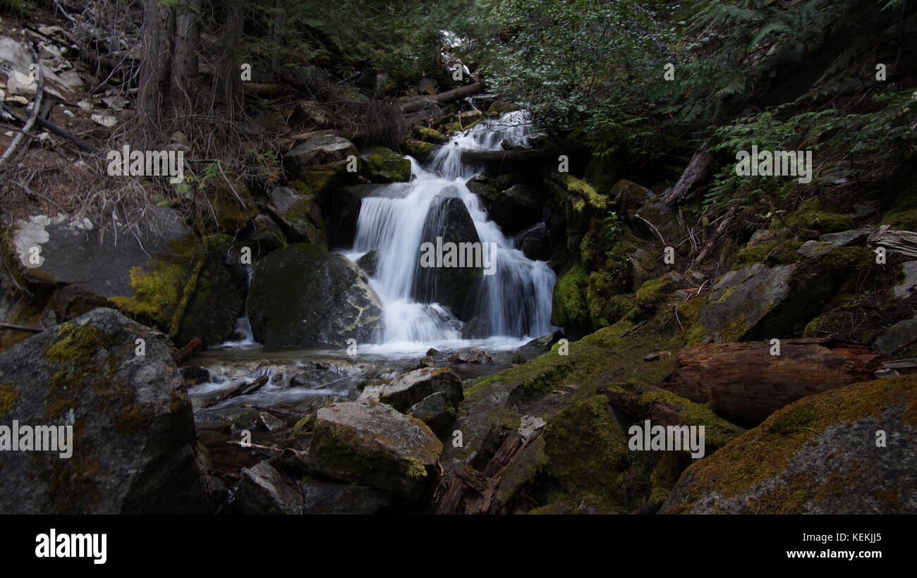 Exploring Washington State, The Great Pacific Northwest Stock Photo - Alamy