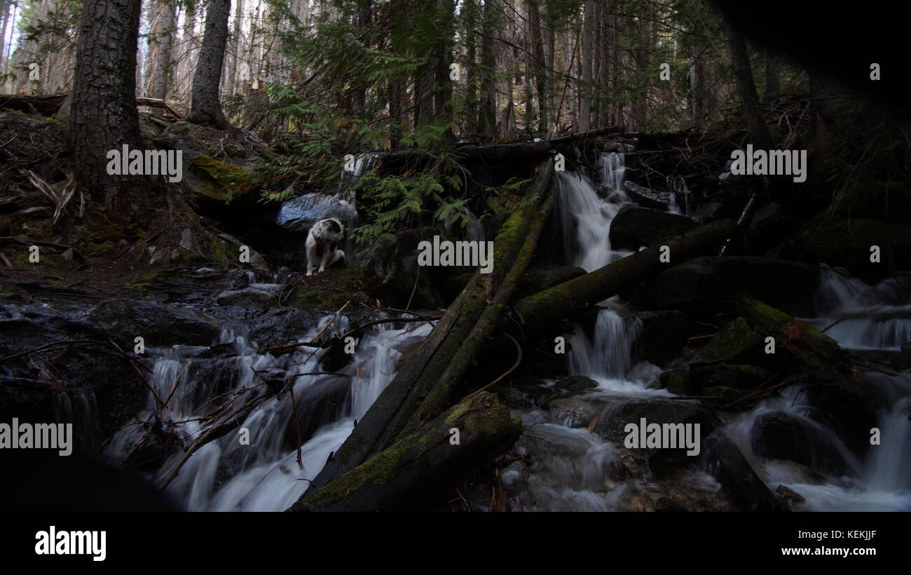 Exploring Washington State, The Great Pacific Northwest Stock Photo - Alamy