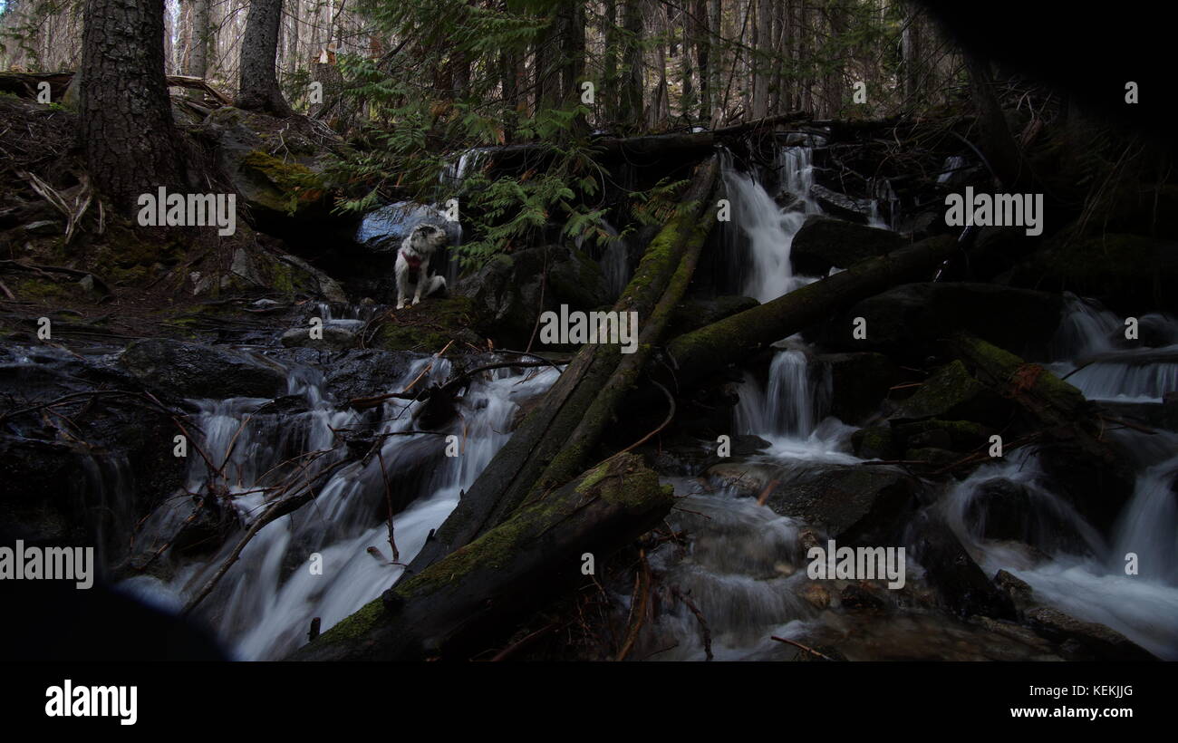 Exploring Washington State, The Great Pacific Northwest Stock Photo - Alamy