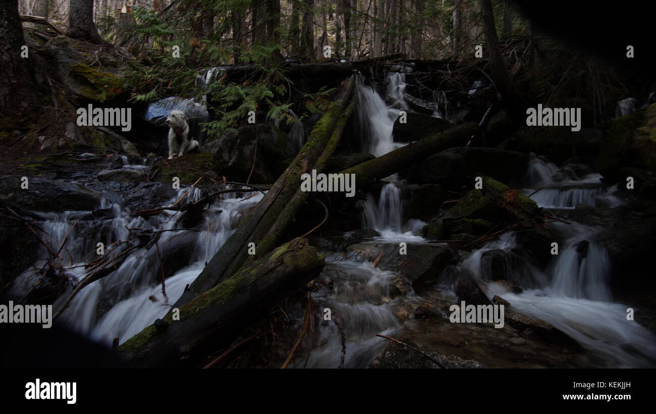 Exploring Washington State, The Great Pacific Northwest Stock Photo - Alamy