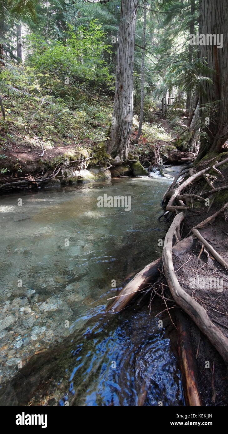 Exploring Washington State, The Great Pacific Northwest Stock Photo - Alamy