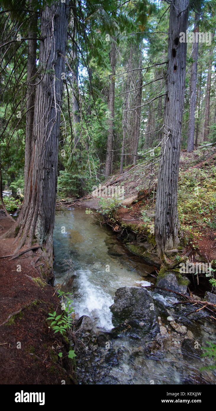 Exploring Washington State, The Great Pacific Northwest Stock Photo - Alamy