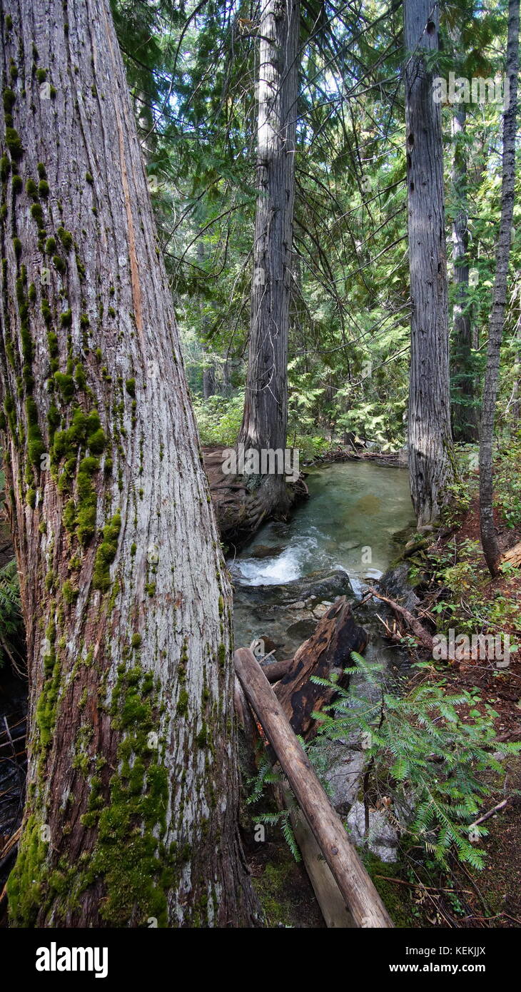 Exploring Washington State, The Great Pacific Northwest Stock Photo - Alamy