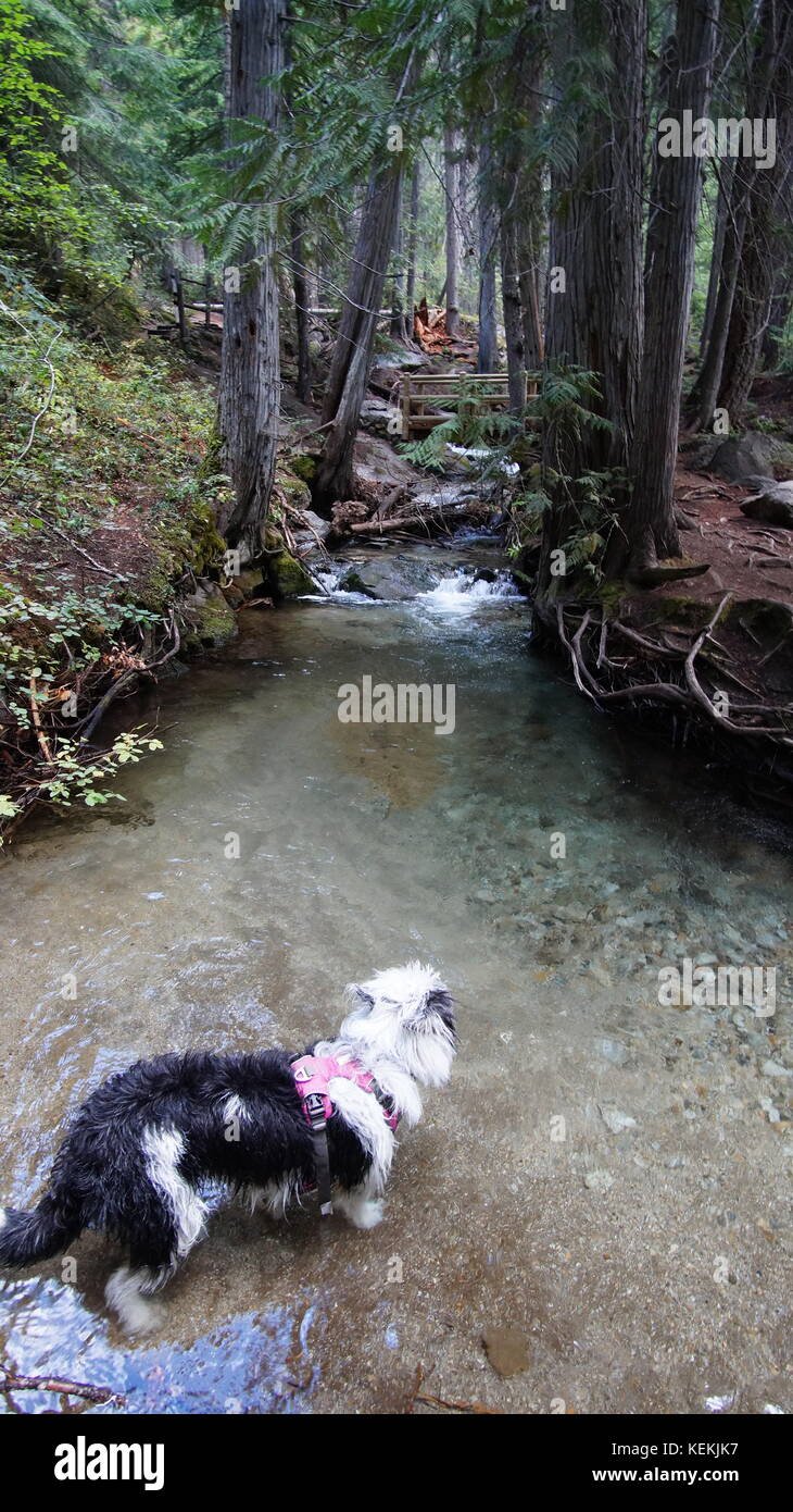 Exploring Washington State, The Great Pacific Northwest Stock Photo - Alamy
