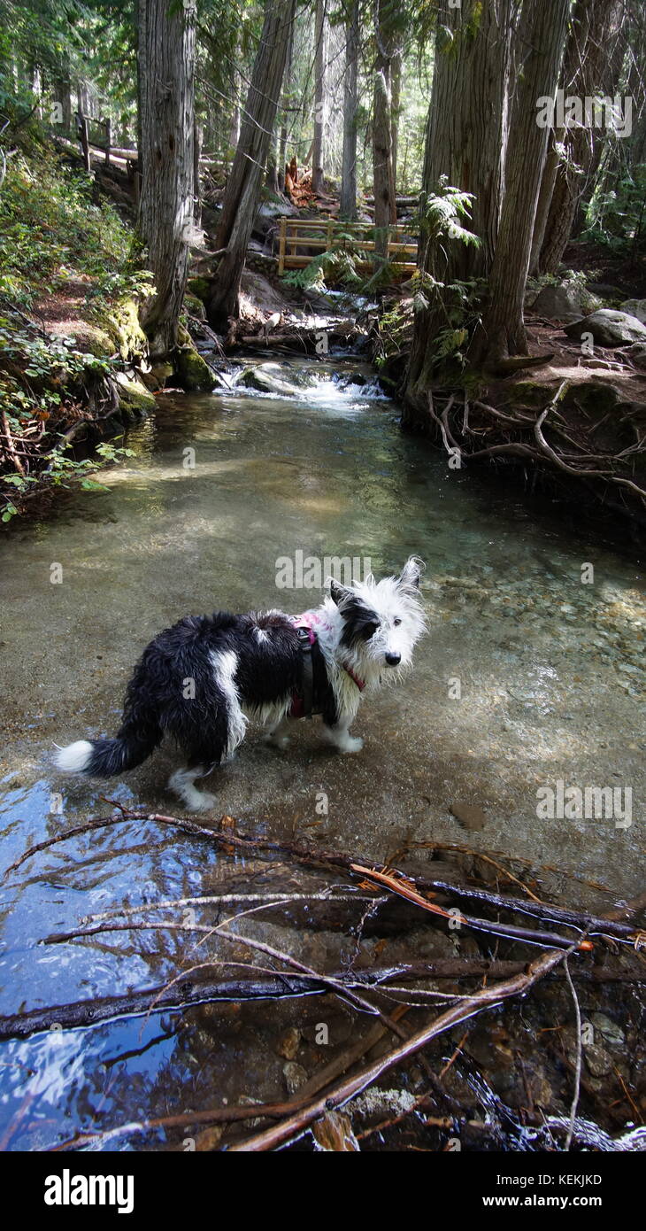 Exploring Washington State, The Great Pacific Northwest Stock Photo - Alamy