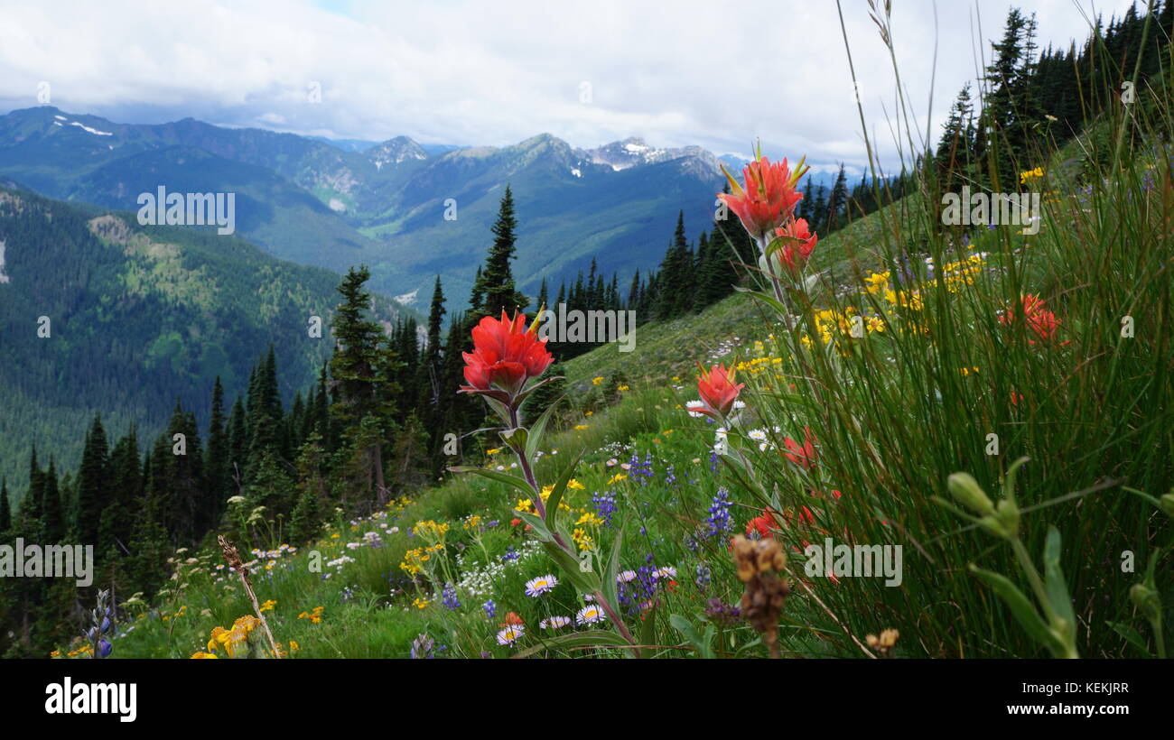 Exploring Washington State, the Great Pacific Northwest Stock Photo - Alamy