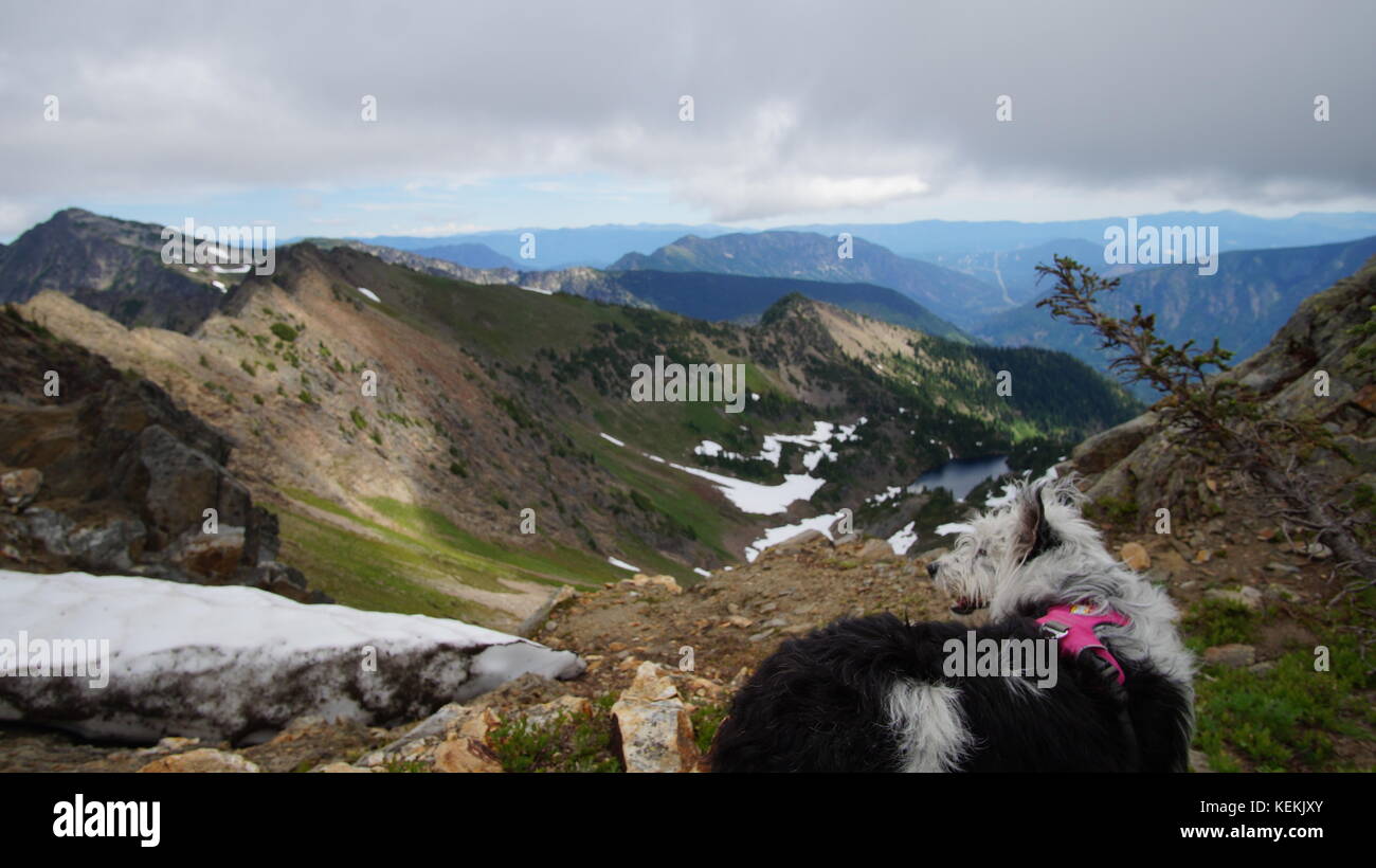 Exploring Washington State, the Great Pacific Northwest Stock Photo - Alamy
