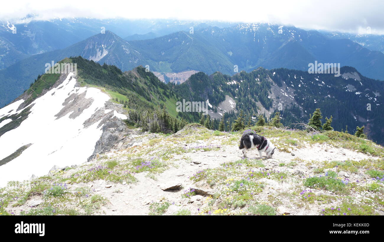 Exploring Washington State, the Great Pacific Northwest Stock Photo - Alamy