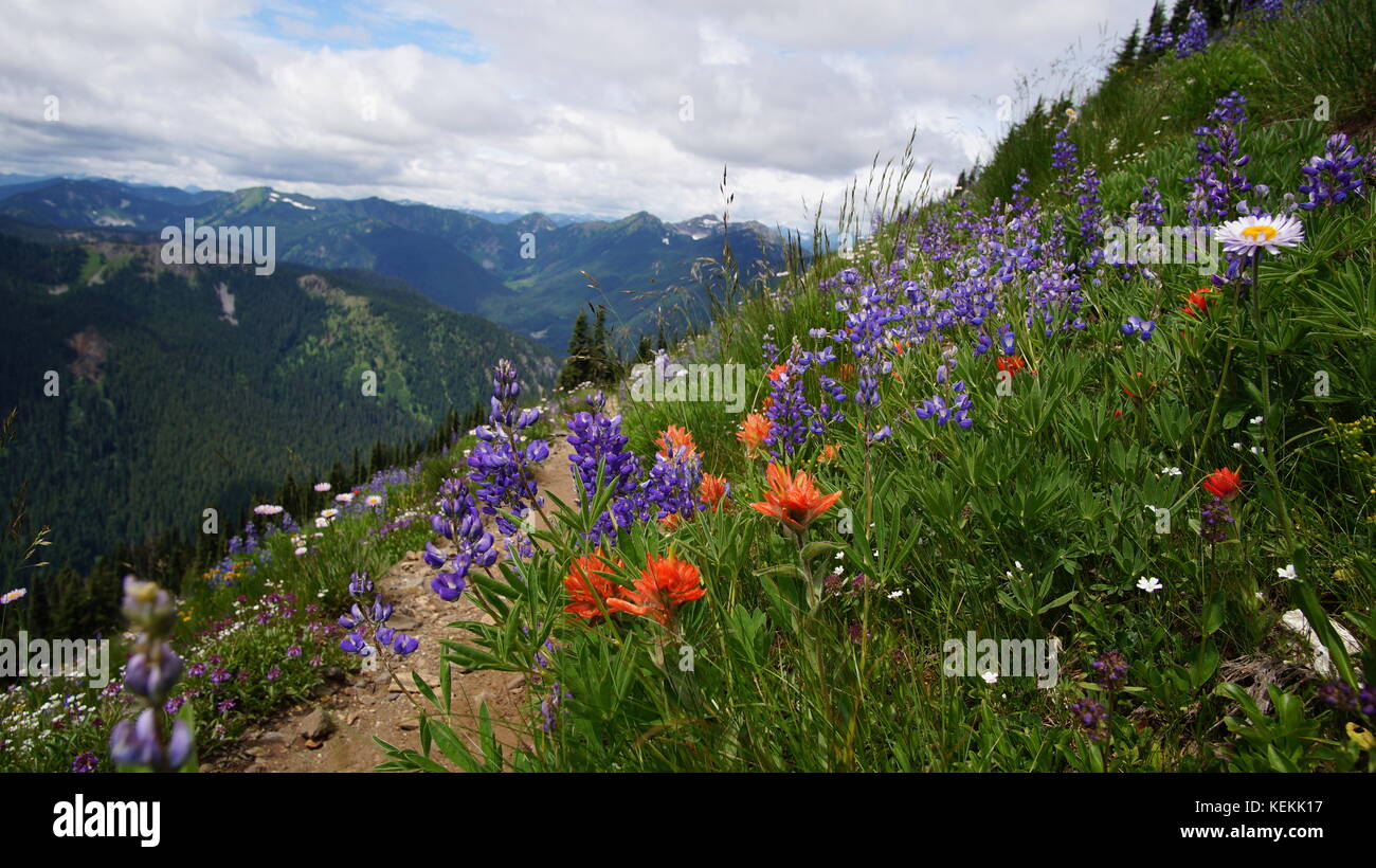 Exploring Washington State, the Great Pacific Northwest Stock Photo - Alamy