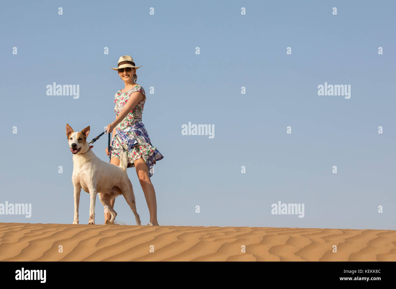 Stray young dog hi-res stock photography and images - Alamy