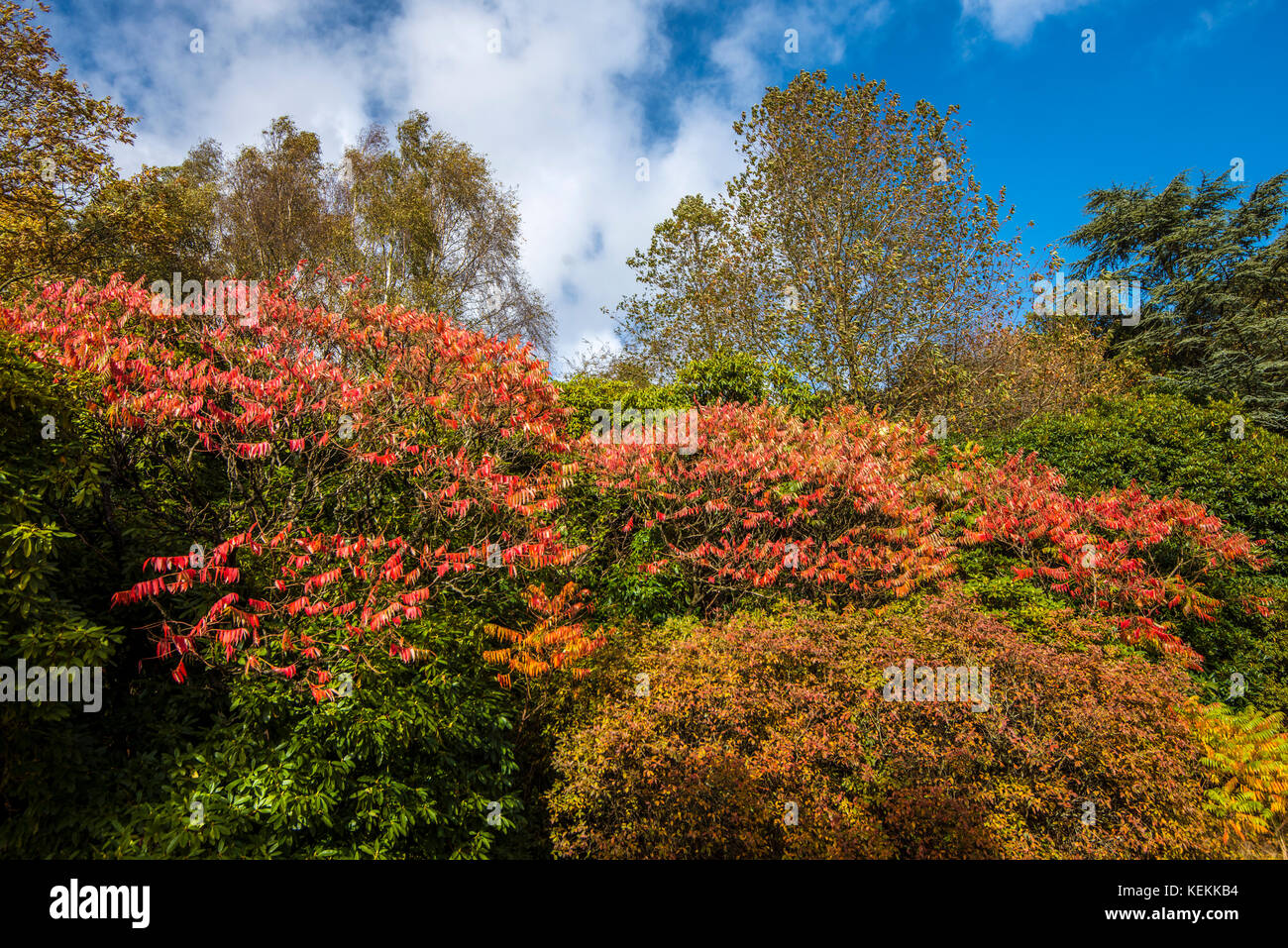 Scotney Castle Lake and Gardens in Autumn. This beautiful and historic ...