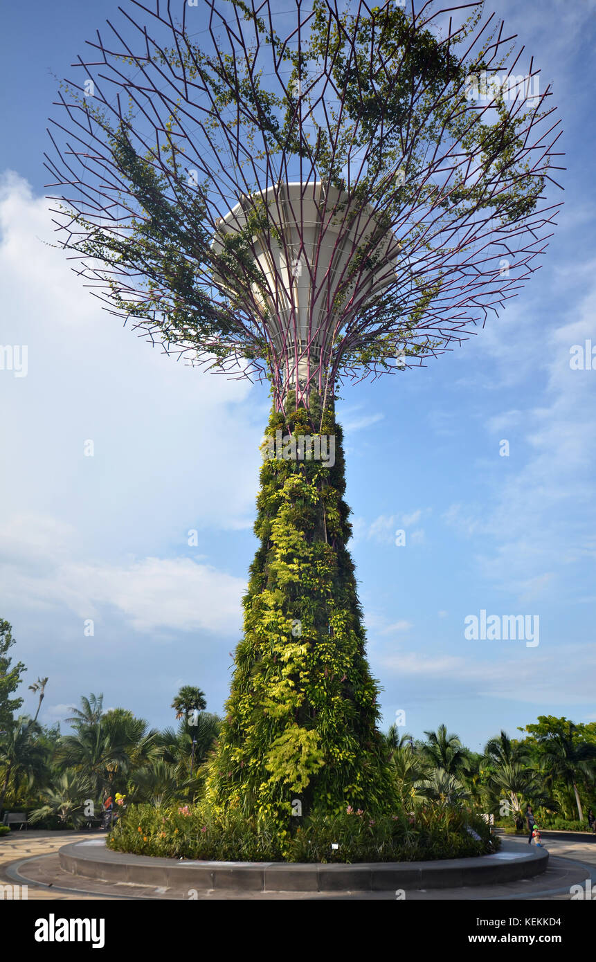 Super-tree in Garden by the bay at Singapore Stock Photo - Alamy