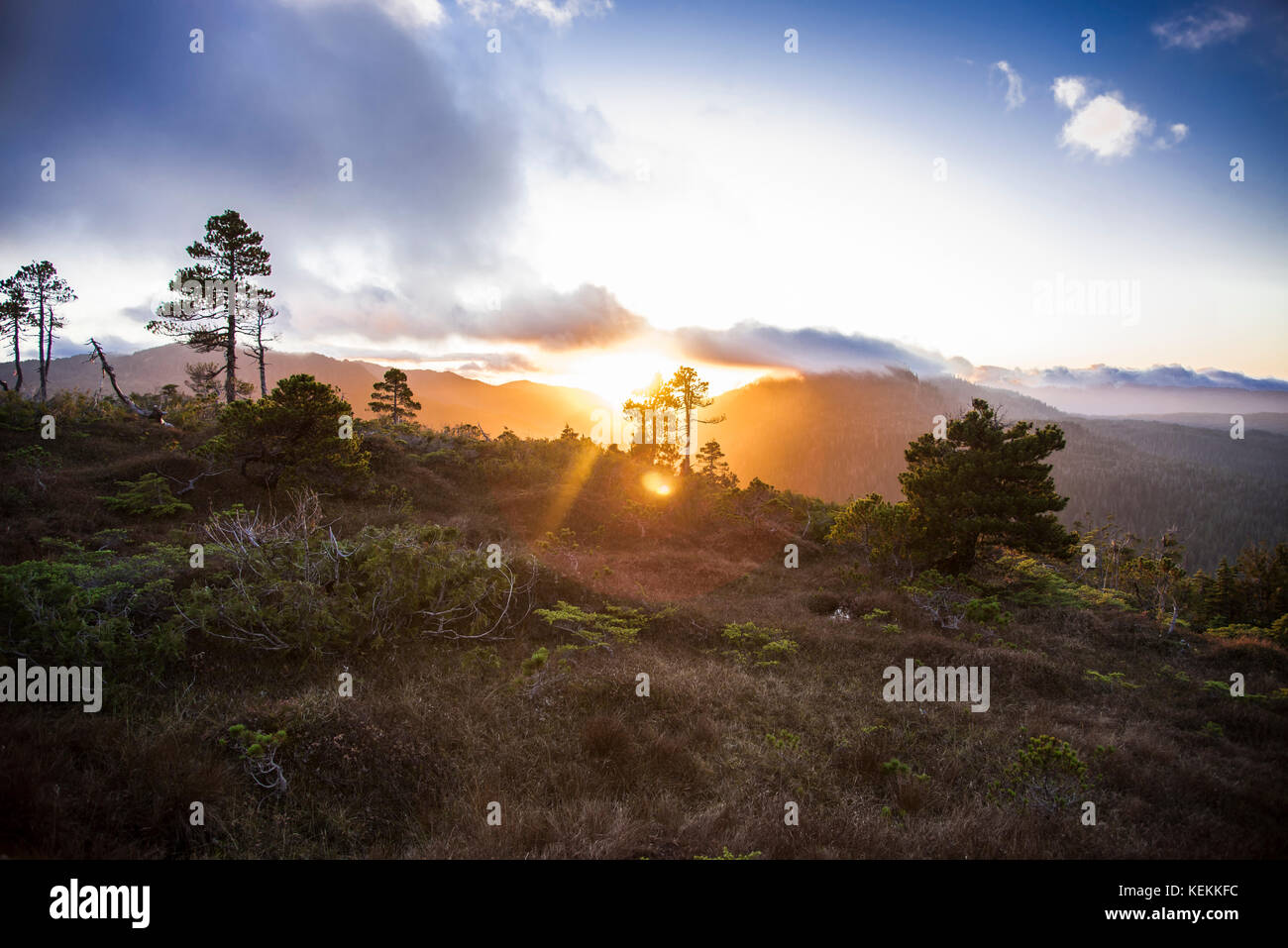 Prince of wales island Alaska Stock Photo - Alamy