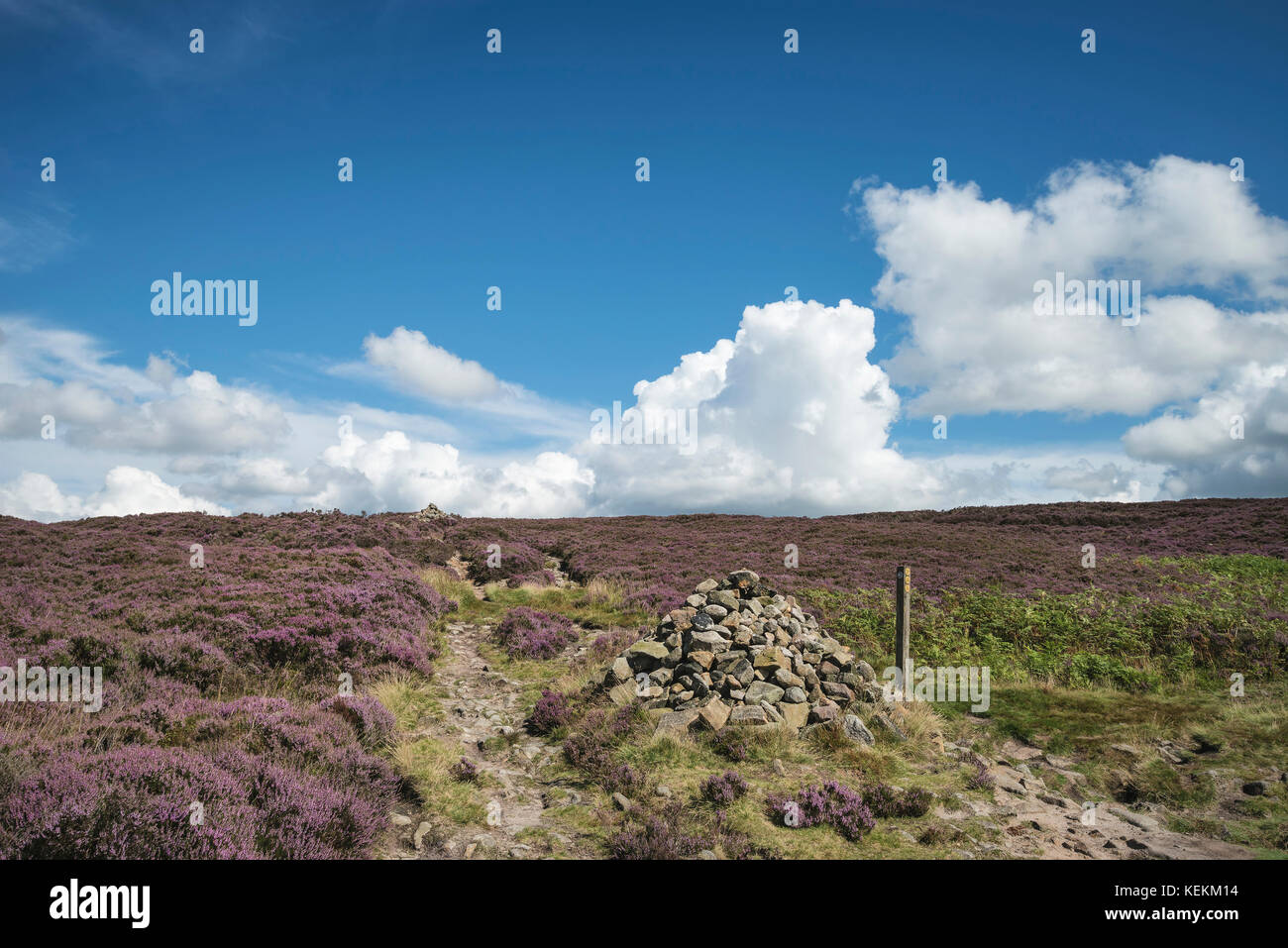 Colorful vibrant landscape image of Burbage Edge and Rocks in Summer in ...